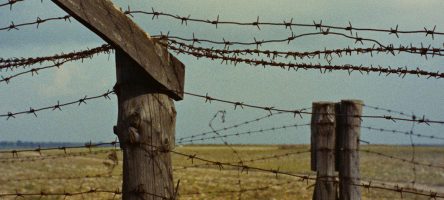 Night and Fog - Full Frame Documentary Film Festival